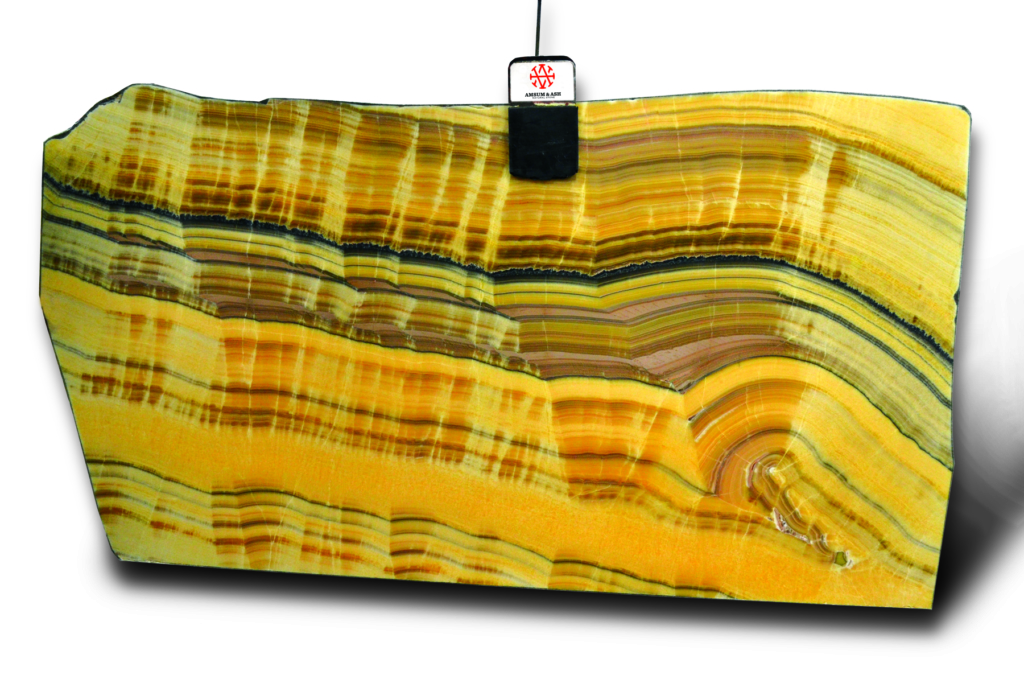 What makes us special? - Amsum & Ash